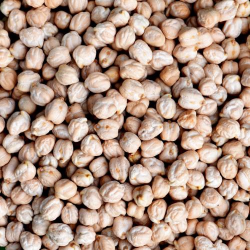 Garbanzo Beans (Chickpeas) – Alive & Organic | Living Tree Community Foods